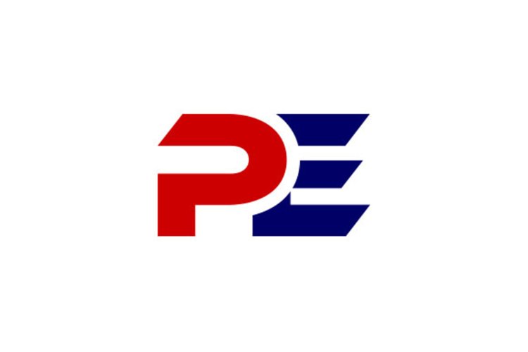 PE logo design (2378778)