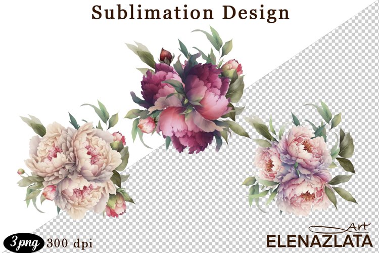 Watercolor Pink Peonies Flowers Clipart (5014821)