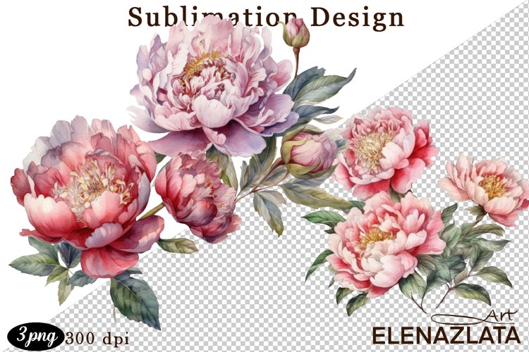 Watercolor Pink Peonies Flowers Clipart (5014792)