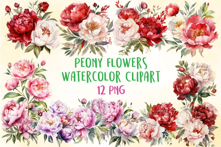Peony Flowers Watercolor Clipart Bundle