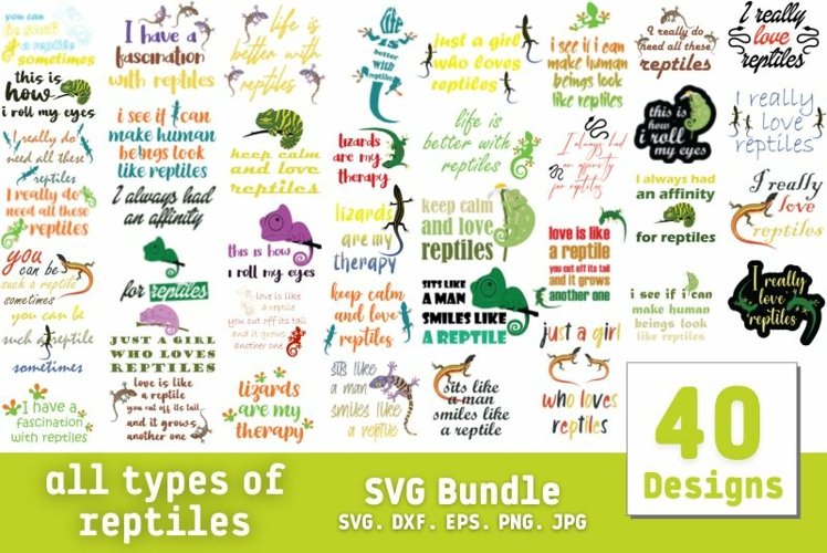 All Types of Reptiles SVG Bundle