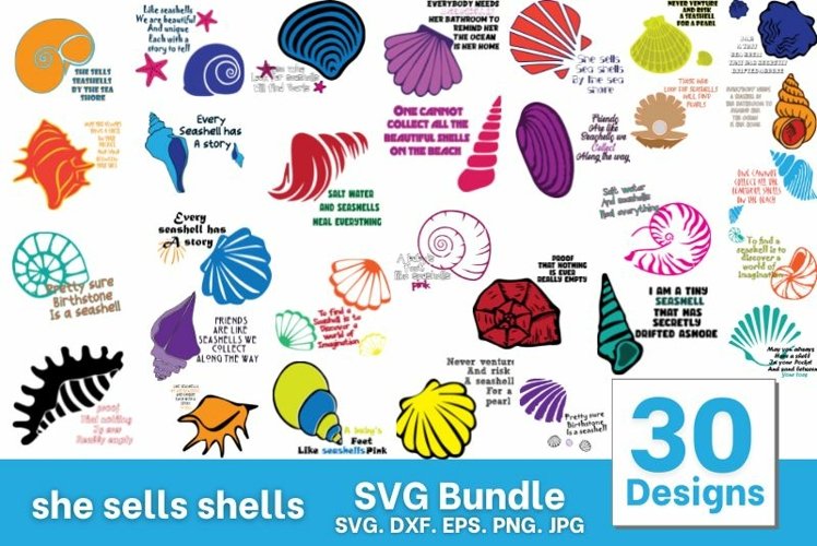 She Sells Shells SVG Bundle