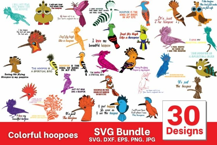 Colorful Hoopoes SVG Bundle