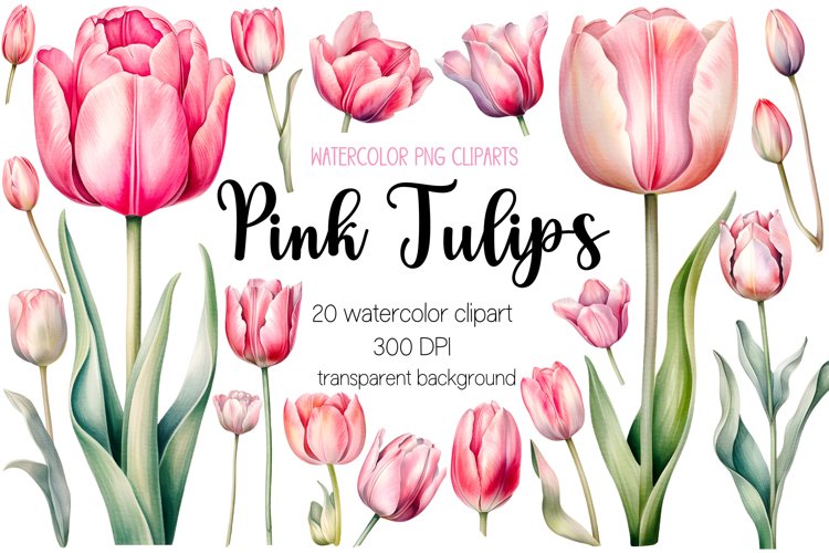 Pink Watercolor Tulip Cliparts, Transparent PNG