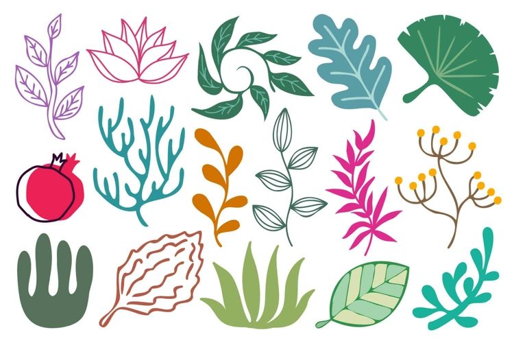 Botanical design elements
