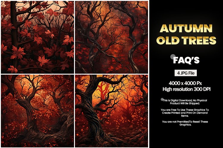 Autumn Old Trees Square Coaster - 04 Variations