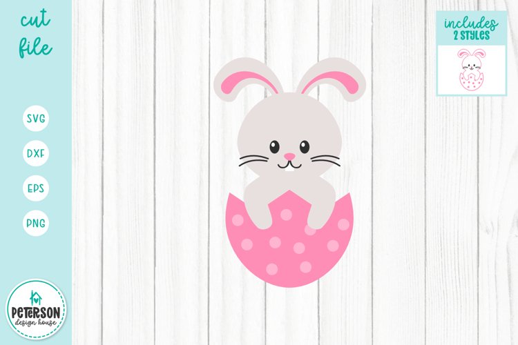 Easter Bunny SVG Cut File (1809080)