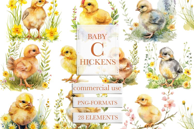 Watercolor chicken clipart, Funny chicken clipart, Bird png