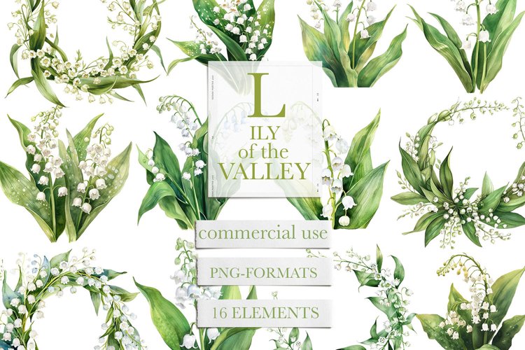 Lily of the valley clipart, Lily of the valley watercolor