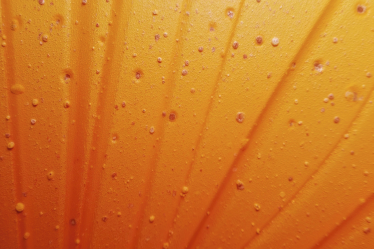 Orange Background Wallpaper (6430111)