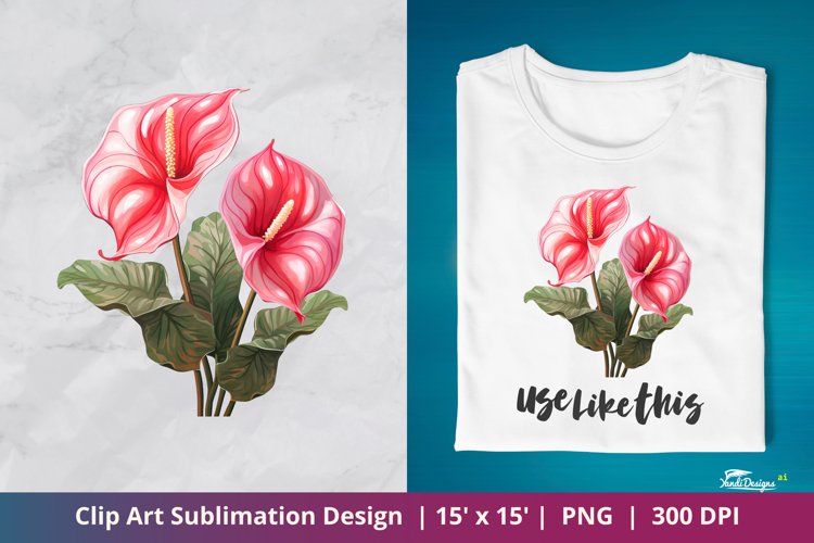Beautiful Anthurium Flower Clip Art Sublimation 2