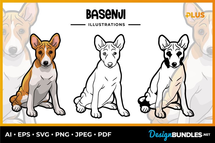Basenji Collection