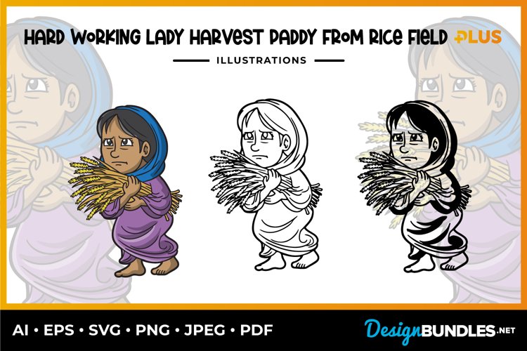 Hard Working Lady Harvest Paddy From Rice Field Illustration