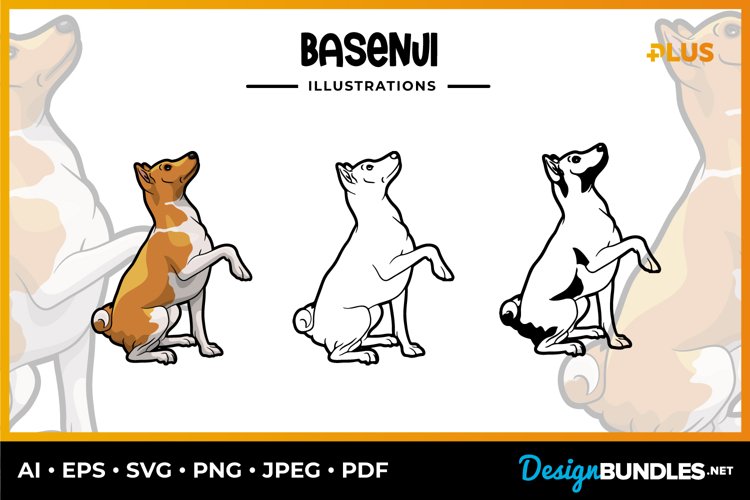 Basenji Collection
