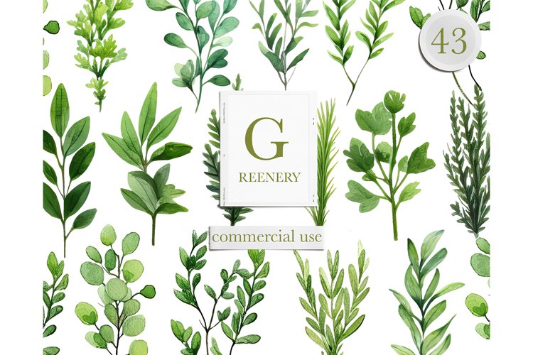 Watercolor greenery leaves clipart, Botanical art, Green png