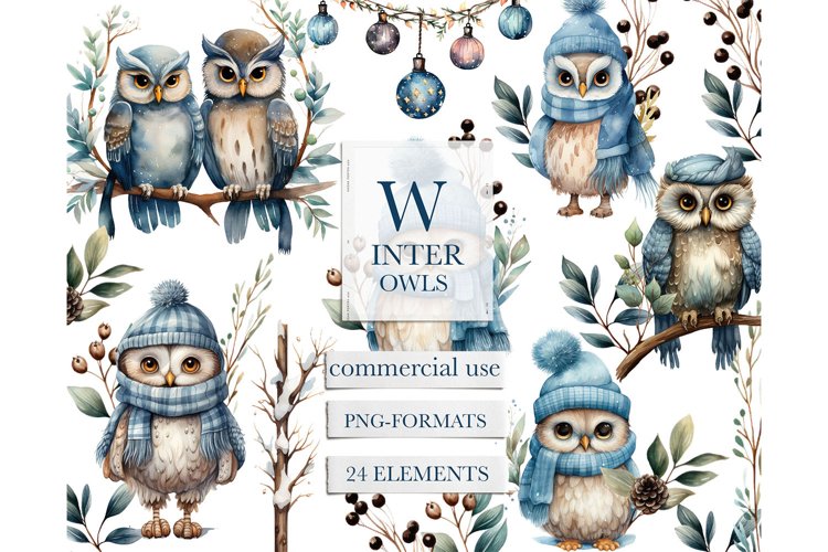 Watercolor owl clipart,Winter owl birds clipart,Cute Owl png