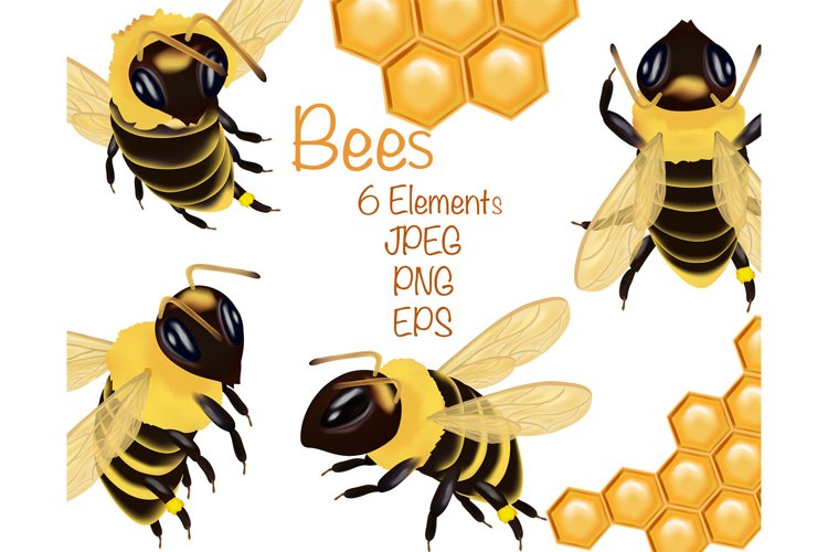 Bee clipart, Honey bees Illustration, Busy bee png,Bee happy
