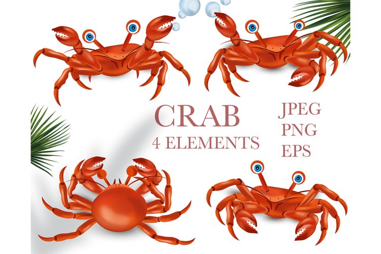 ute Red rab clipart, rab decal,Sea creatures, Sea animal png