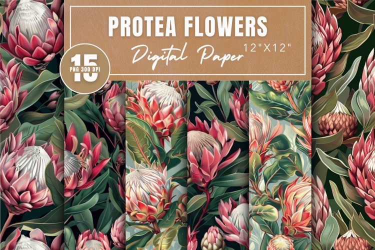 Protea Flowers Digital Paper Bundle