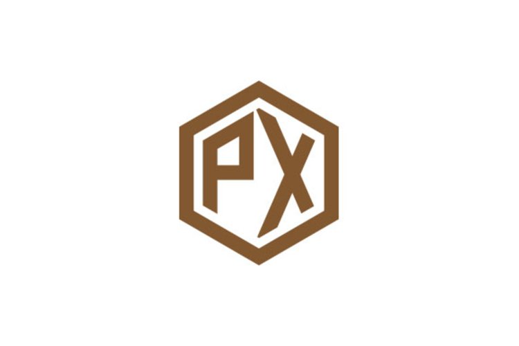 PX logo design (2379339)