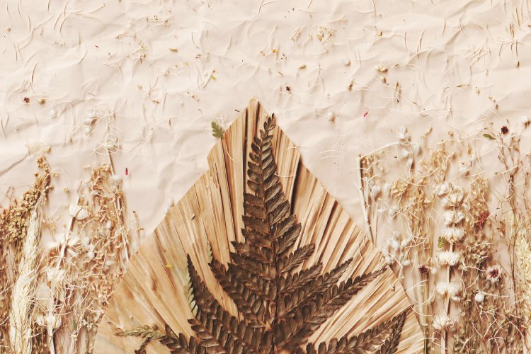 Photo dry flower and bouquet pattern frame (2473899)