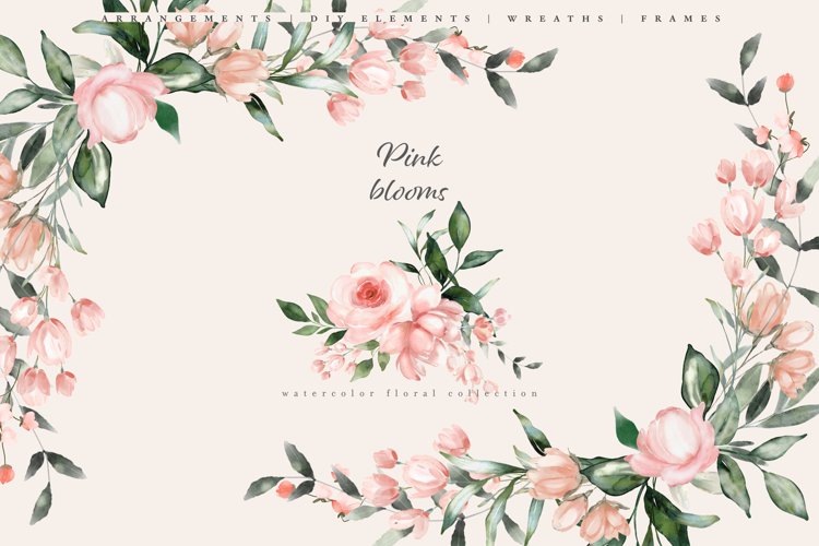 Watercolor Blush Pink Rose Clipart Set