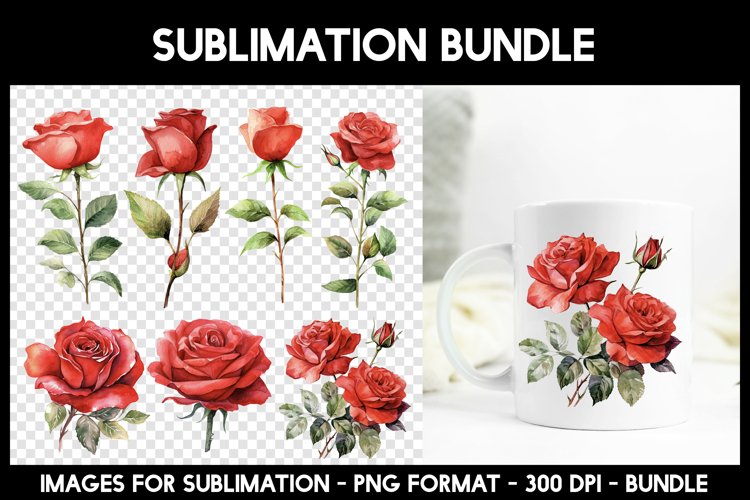 7 Roses Sublimation I Watercolour