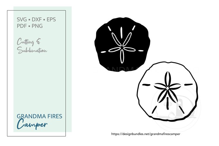 Sand Dollars SVG, Two Sand Dollars (1793573) | SVGs | Design Bundles