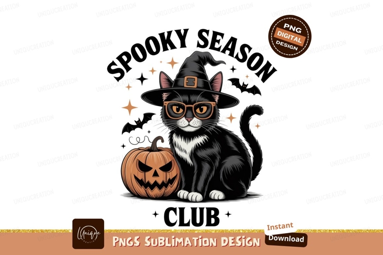 Black cat witch pumpkin Halloween image