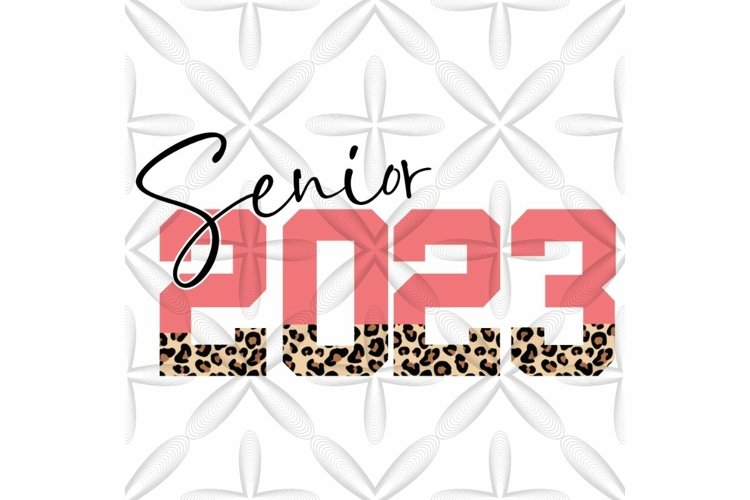Senior Graduation Class of 2023 Split Leopard Pink PNG