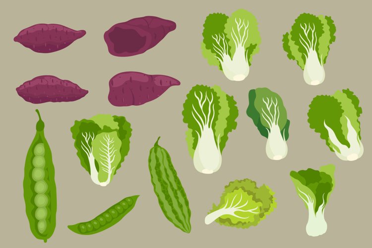 Set of Vegetables Element Collection (2798843)
