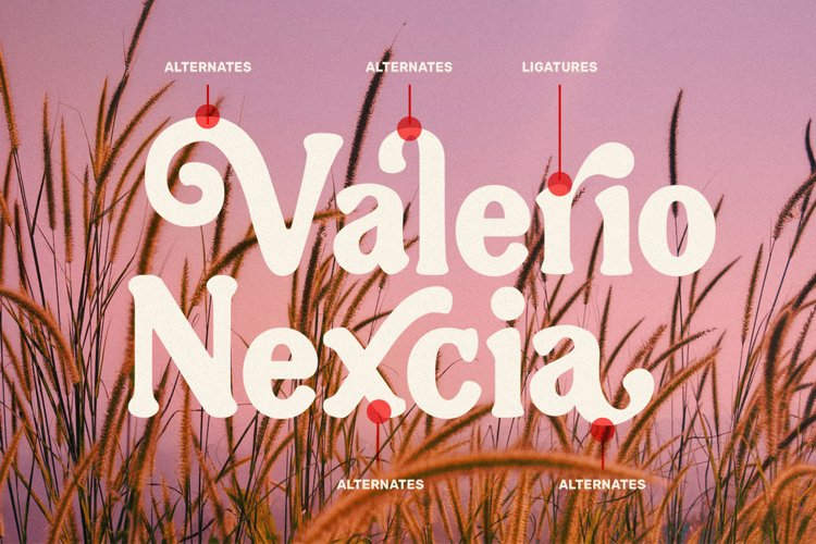 NugiaVintage - Free Font Of The Week | Font Bundles