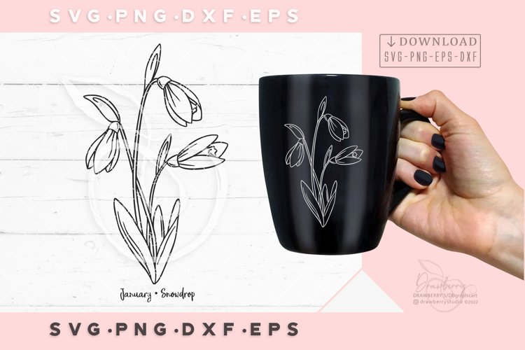 Birth Month Flower Svg, january flower, snowdrop SV273