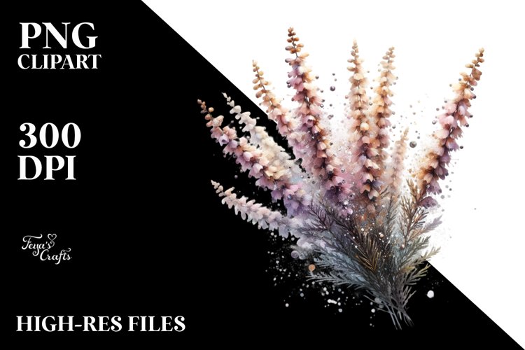 Detailed Heather Watercolor Splash