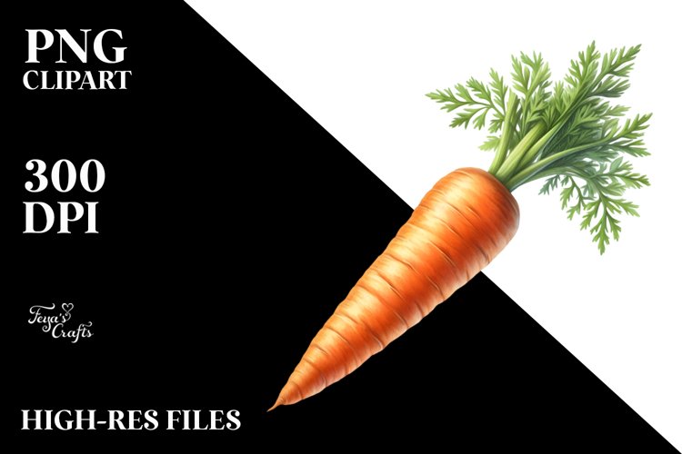 Watercolor Carrot Clipart