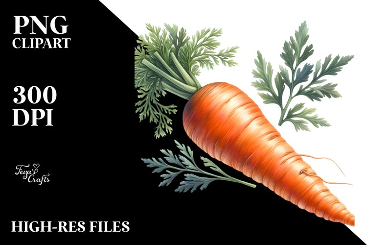 Watercolor Carrot Clipart