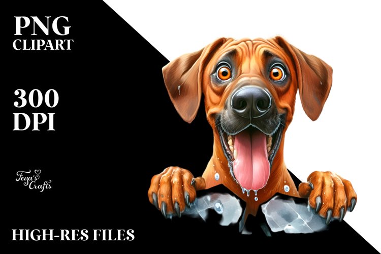 Enthusiastic Rhodesian Ridgeback Smiling on Ice Crack