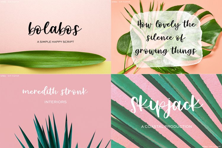 The Spring Font Bundle - Free Font Of The Week | Font Bundles