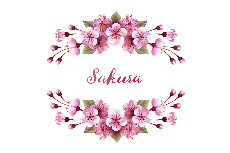 Symmetrical frame of pink sakura