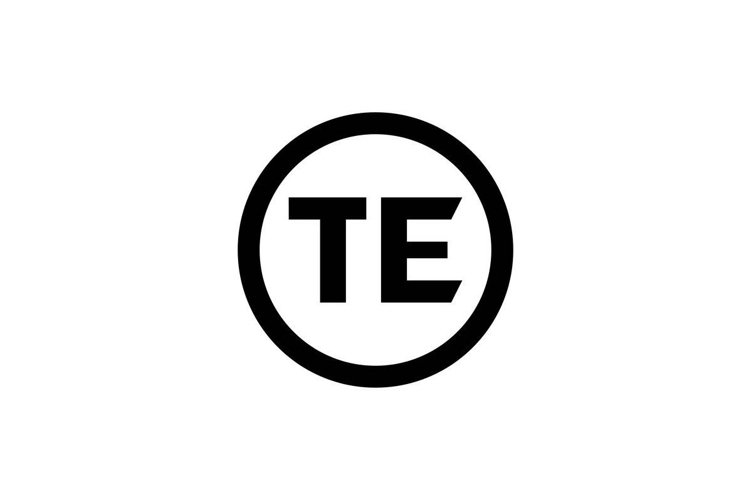 TE logo design (2671201)