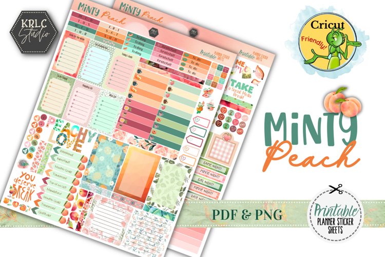 Minty Peach - 2 Printable Planner Stickers