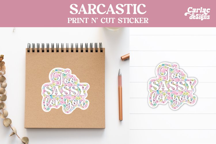 Funny Stickers, Sarcastic Stickers, Too Sassy for You