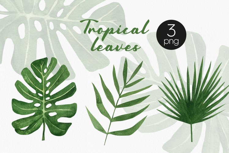 Watercolor Tropical Leaves Clipart (2573976)