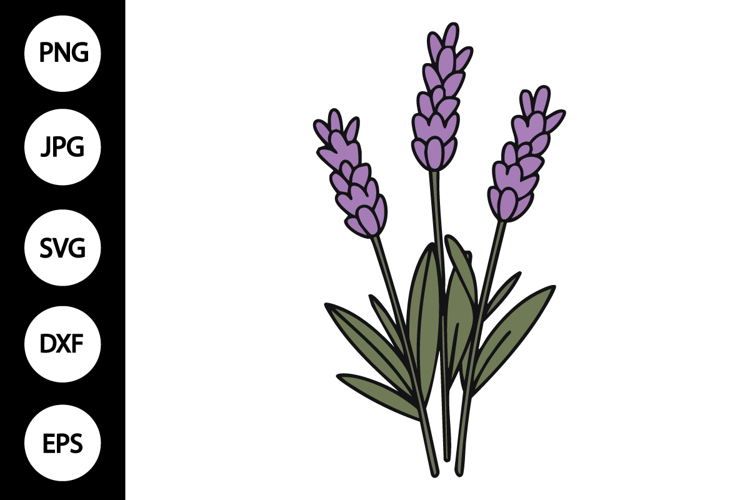 Lavender Clipart, Lavender SVG (5303286)