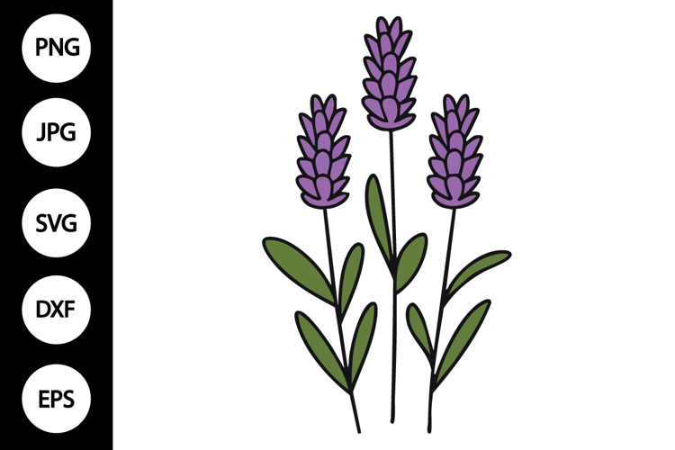 Lavender Clipart, Lavender SVG (5303287)