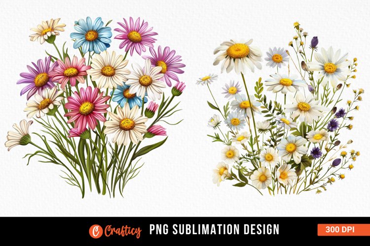 Watercolor Wildflower Bouquet Daisy Clipart