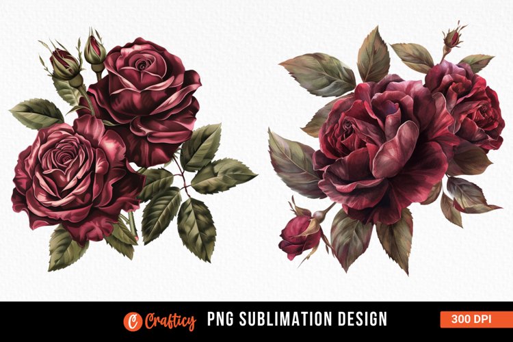 Watercolor Burgundy Roses Clipart