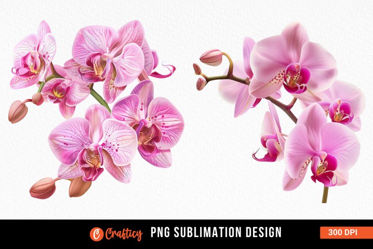 Watercolor Pink Floral Fussy Cuts Clipart