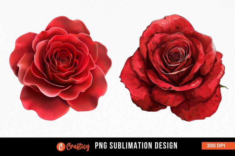 Watercolor Red Rose Clipart