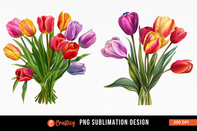 Watercolor Colorful Tulip Clipart